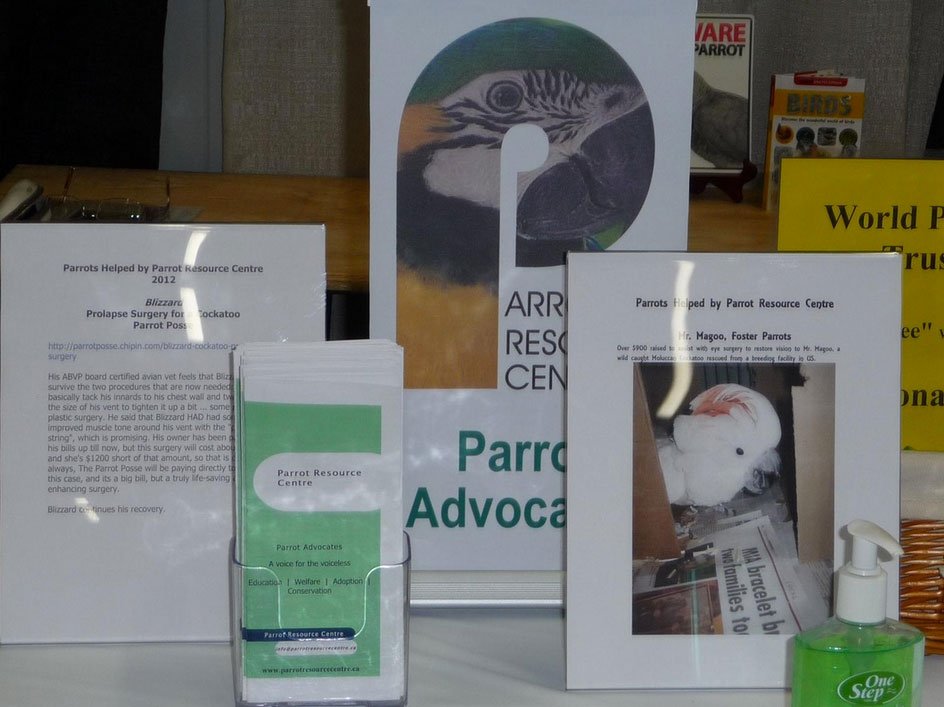 | Posters are a resource for the Parrot Resource CentreFor Parrots ...
